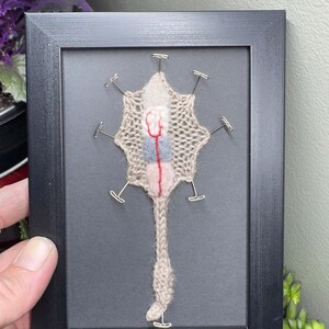 Knitted Alien Autopsy PDF Pattern - Etsy