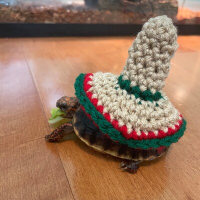 Mariachi Sombrero Turtle/tortoise Costume - Etsy