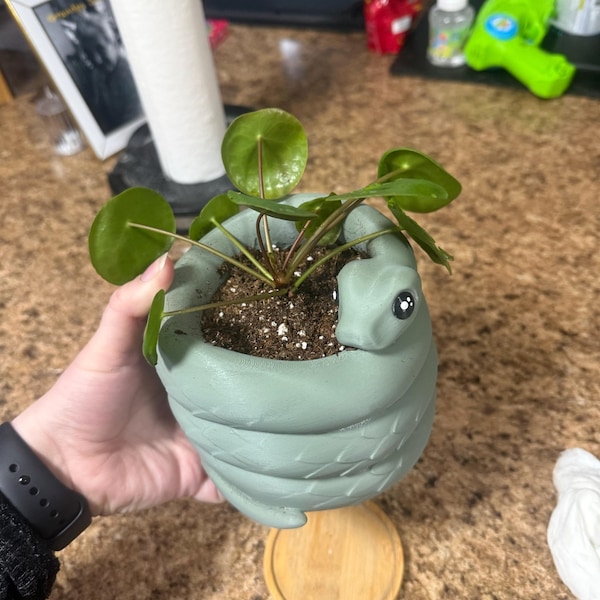 Snake Planter - Snake Plant Pot With Drainage - Cute Snake Planter ...