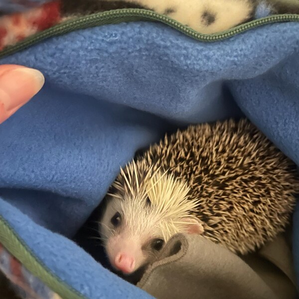 Snuggle Ball Pit Large Fleece Reversible Hanging Pouch, 4 Detachable ...