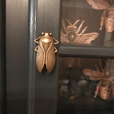 Cicada Drawer Knob Set of 2 / 4 / 6 /8 Bug Cabinet Knobs Gift Insect Lover - Etsy