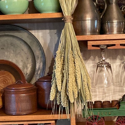 Dried Limelight Millet Bunch, Dried Millet, Dried Grains, Green Millet ...