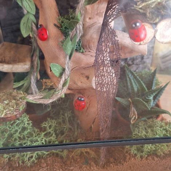 CHEAP Random BOGWOOD 20-30cm Fish Tank Root for Java Fern Moss Live ...