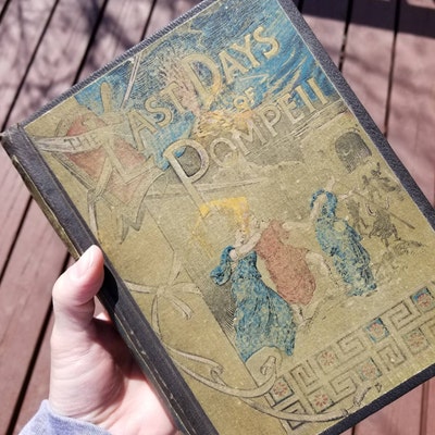 1873 Mrs. Skaggs's Husbands, and Other Sketches by Bret Harte FIRST ...