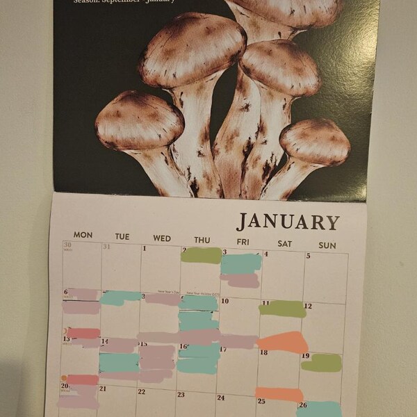 A4 Weekly Planner Pad Bold Colour Block Desk Planner With Habit Tracker ...