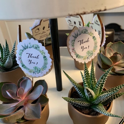 Succulent Party Favor Tags, Greenery Thank You 2 Round Tags, Greenery ...