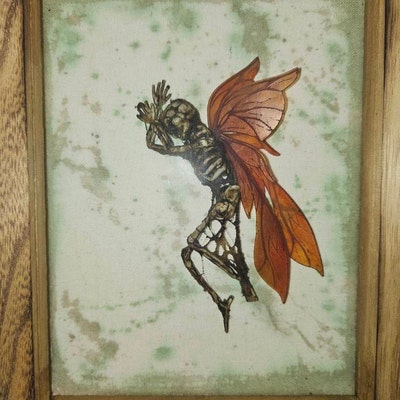 Dead Fairy Display Case - Etsy