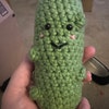 PATTERN ONLY, Easy Pickle Crochet Pattern, Instant DOWNLOAD - Etsy