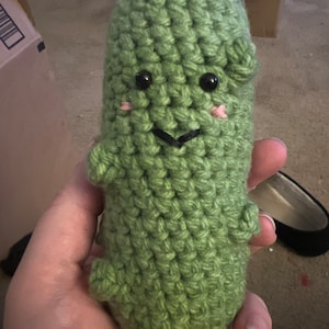 PATTERN ONLY, Easy Pickle Crochet Pattern, Instant DOWNLOAD - Etsy