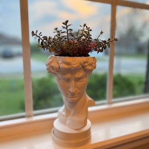 Hercules Wall Planter Pot Farnese Hercules Wall Face Planter - Etsy