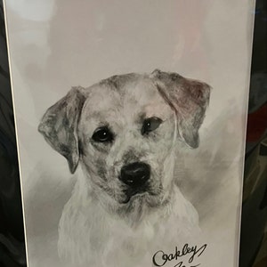 Custom Pet Portrait Charcoal Custom Dog Portrait Pet - Etsy