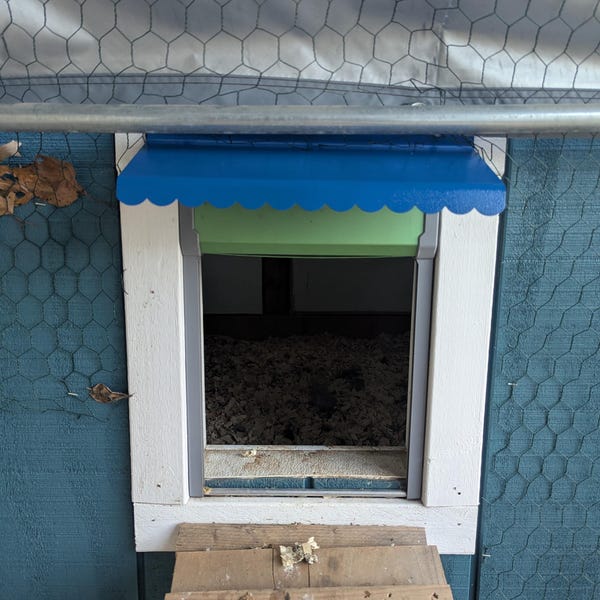 Beehive Rain and Snow Visor | Awning for Beehive | Snow and Rain ...