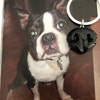 Cute Smiling Pit Bull Sticker Pittie Sticker Happy Pit Bull - Etsy