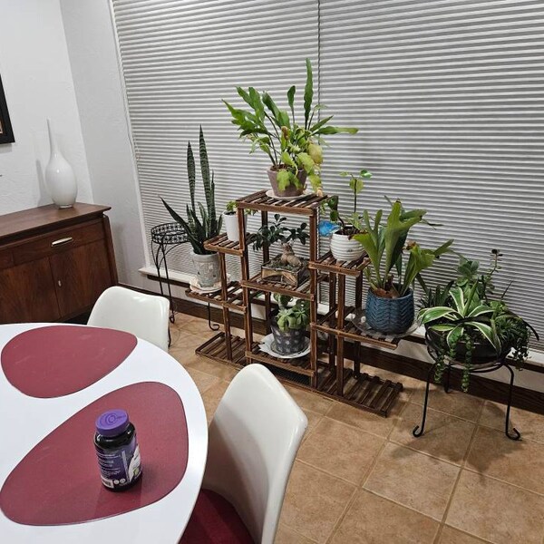 Premium 6-tier Triangle Corner Wooden Plant Stand Elegant Multi-level ...