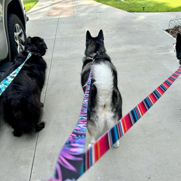 Treeline Dog Collar - Trees | Forest | Nature | Outdoors - Etsy