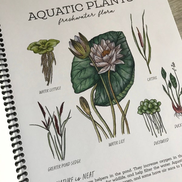 Aquatic Plants Nature Journaling Pack - Homeschool Printable Charlotte ...