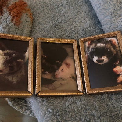 BARNEY PUPPET Show Book,vintage Barney Book,barney Book,barney Children ...