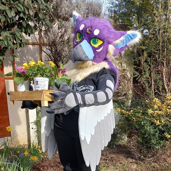 Toony Fursuit Paw Pattern - Etsy