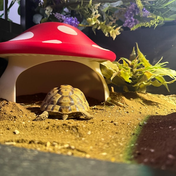 TORTOISE Mushroom Reptile Hide, Whimsical Vivarium Accessory for Pet ...