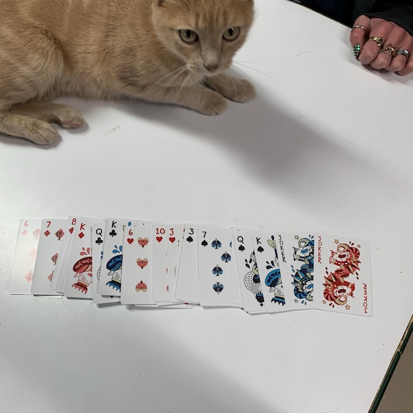 Coddies Shark Flops - Shark Fish Sandals - Funny Shoes - Fish Flip ...