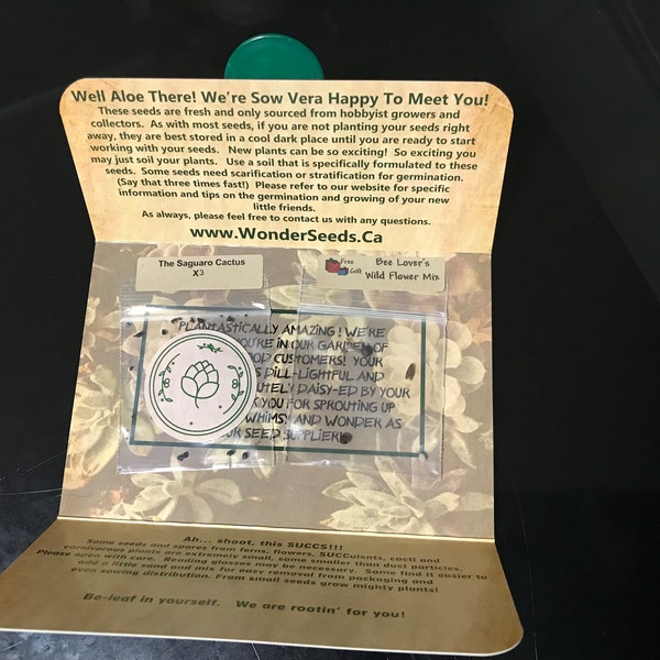 Burning Bush Tree / Eastern Wahoo - Euonymus Atropurpureus - Rare ...