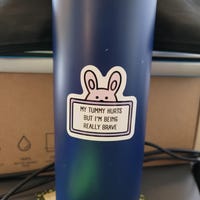 DBT Sticker, Funny BPD Gift, Borderline Gift, Personality Disorder ...