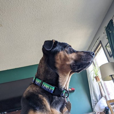 Treeline Dog Collar Trees Forest Nature Outdoors - Etsy