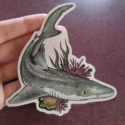 Velvet Spider Sticker 3.5 Inch Glossy Sticker Ladybird Spider Insect ...