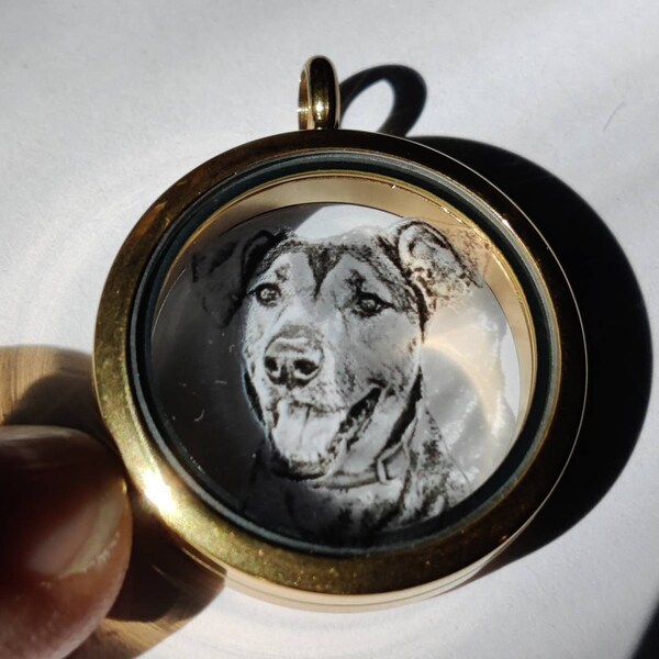 Custom Royal Cat Portrait, Personalized Dog Portrait From Photo, Pet ...