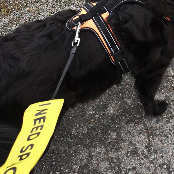 Dog Leash Sleeve | Do Not Pet | I Need Space | in Training | Ask to Pet ...