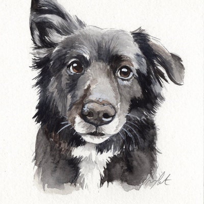 MINI Pet Portraits Simple Custom Pet Portrait. Animal Watercolor ...