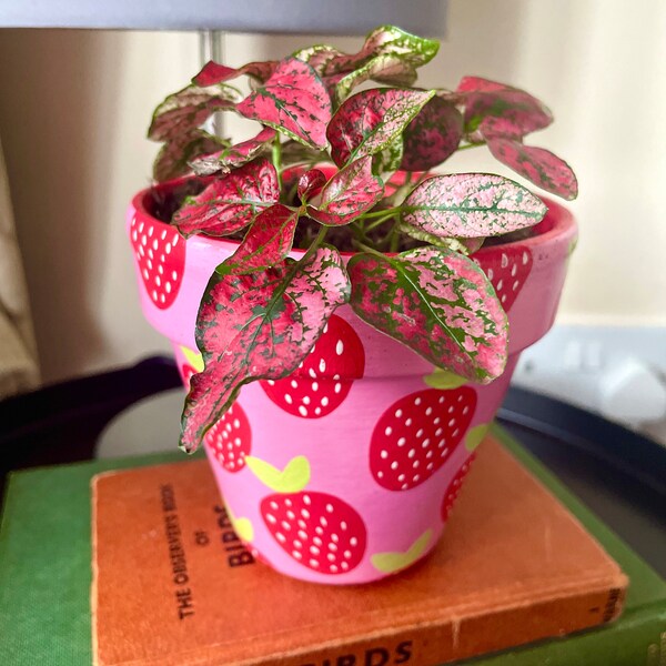 Hand Painted Baby Blue Bumble Bee Indoor Plant Pot, Terracotta Planter ...