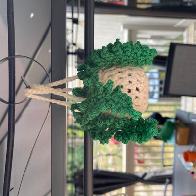 Car Fern Crochet PATTERN by Pamelambie Car Plant - Etsy