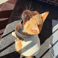 Crochet Pattern Rabbit Sweater, Rabbit Clothes Pattern - Etsy Canada