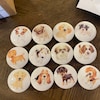 SET OF SIX, 1.5,dog Knobs,cabinet Knobs,drawer Pulls,rottweiler,yorkie ...