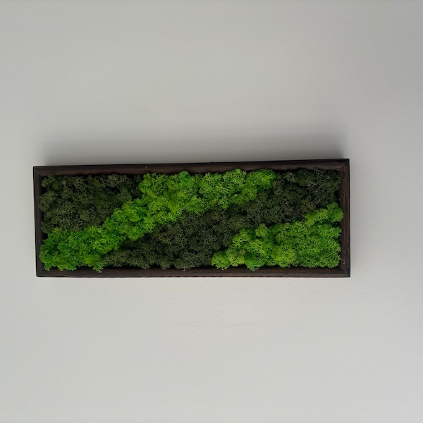 Moss Pattern Wall Art Real Moss, Zero Maintenance Eco-friendly Natural Green Decor, Serene Moss ...