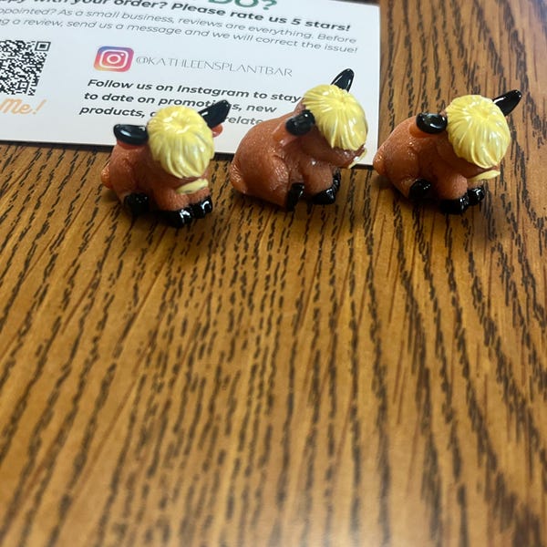 Cloud Shaped Rainbow Window Clings. Prism and Light Bending. Unique ...