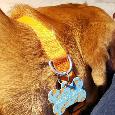 Taco Dog Tag, Double Sided Dog Tag, Taco Cat Tag, Blue Dog Tag, Funny ...