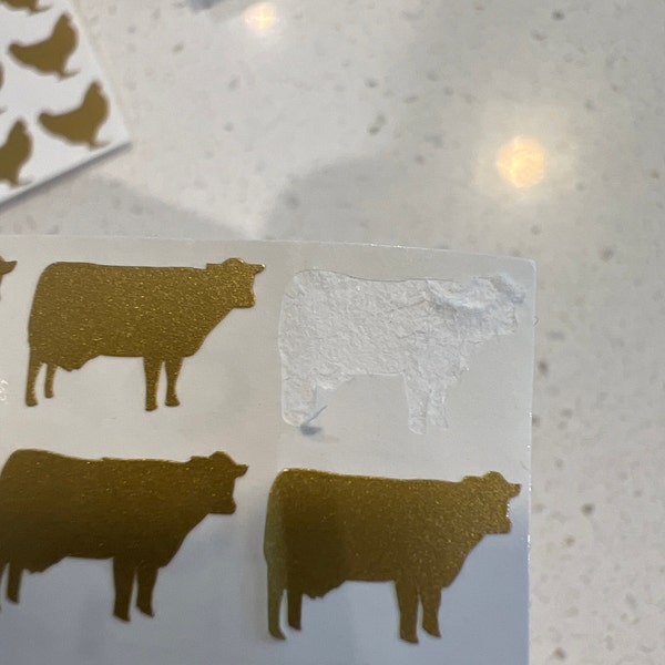 Place Card Meal Choice Stickers (set of 10) for Wedding Food Stickers ...