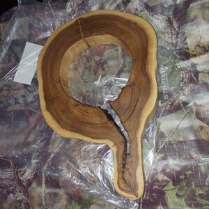 1 Extra Large Solid Elm Wood Slice 22 Inch Elm Slices Elm Elm Circles ...
