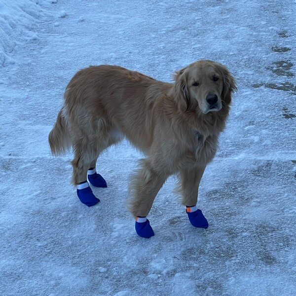 Finish Top Dog Booties set of 4 Sled Dog Snow Boots Iditarod Boots Pet ...