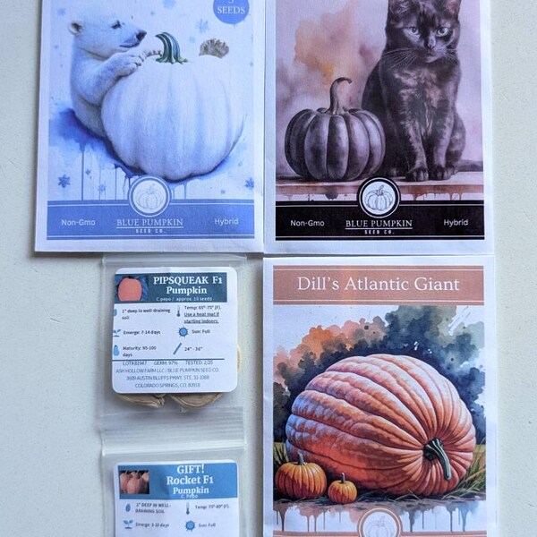 Yugoslavian Fingers (heirloom/c.pepo) Seeds: Semi-rare, White Finger ...