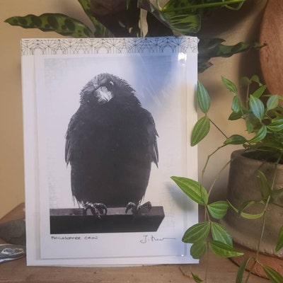 Raven Peace A Single Raven in the Top of a Tree Signed Fine - Etsy