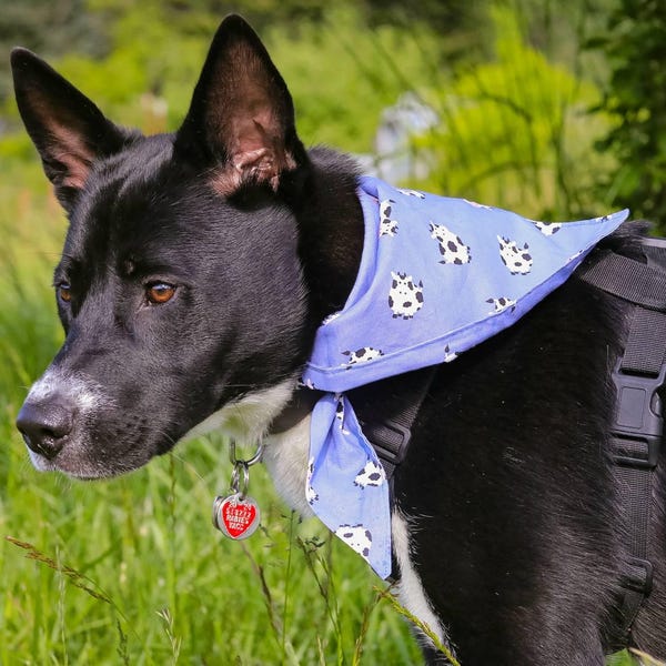 NEW! Lilo & Stitch ~ Dog Bandana ~ Disney Dog Bandana ~ Stitch Dog ...