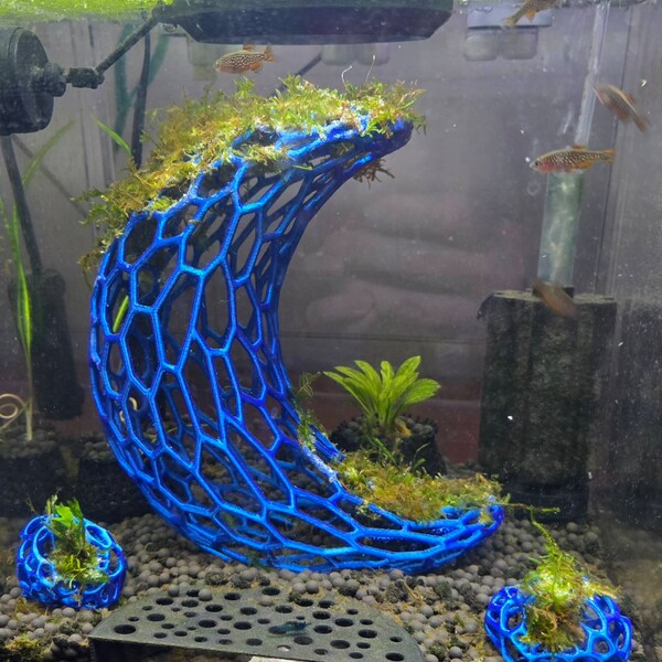 Crescent Moon Aquarium Decoration Shrimp Hide Fish Hide - Etsy