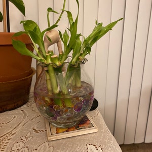 Slanted Glass Bowl Planter Machine-cut Glass Small Plant - Etsy