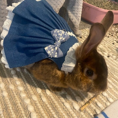 Mini Dot Pattern Harness for Only Rabbit Bunny Dress Harness - Etsy