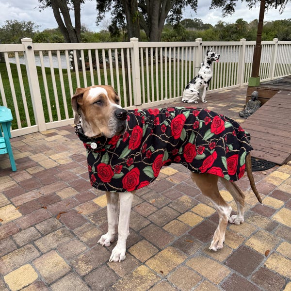 Great Dane Coats for Dogs, Extra Large Dog Pjs, Bull Mastiff Dog ...