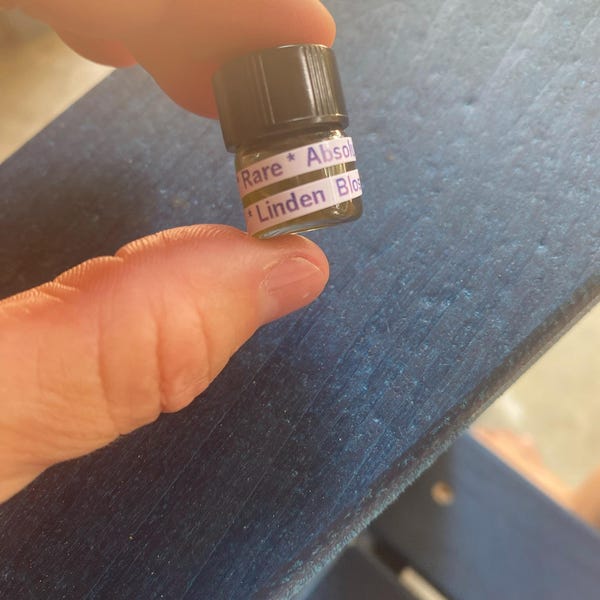 Black Currant Absolute Organic Ribes Nigrum Pure Natural Perfume ...