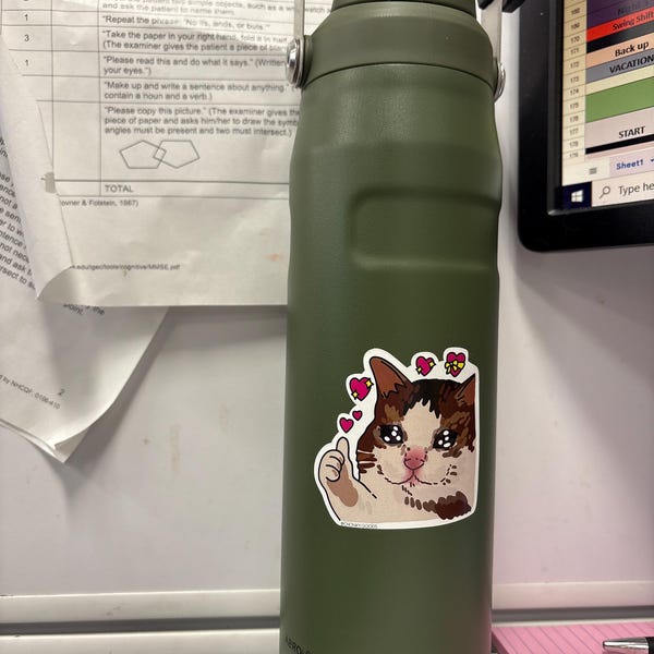 Tarot Cat the Hierophant Croc Cat Meme Sticker – Cat Meme Sticker, Sad ...